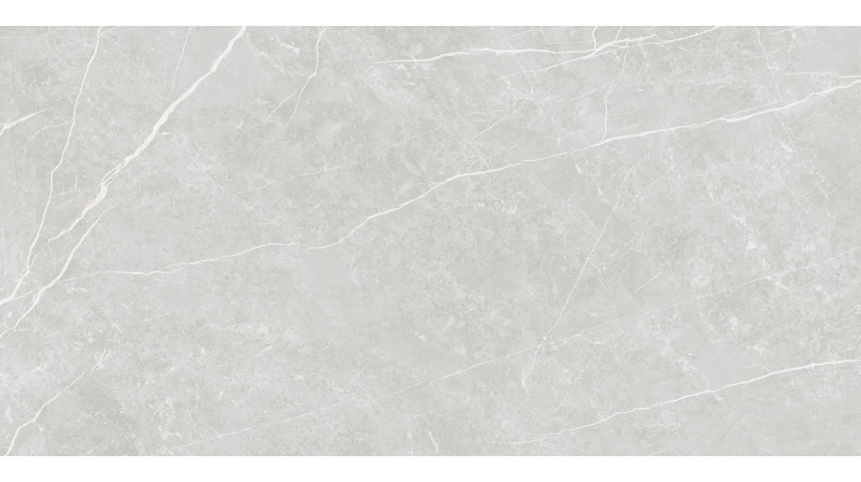 PRISMA SILVER MATE 60X120 REC