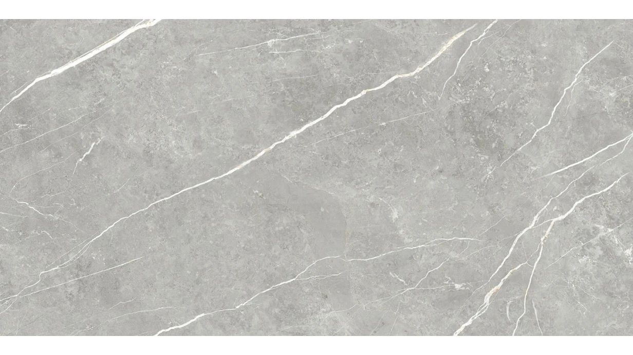 PRISMA GRAY PULIDO 60X120 REC