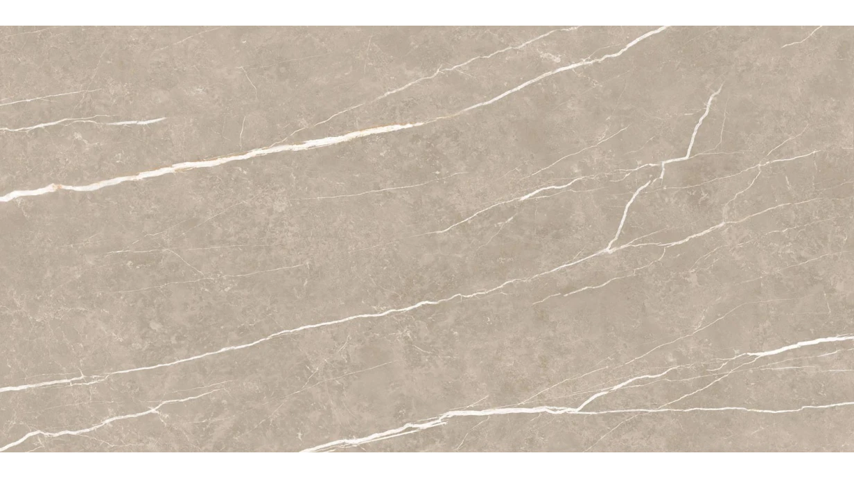 PRISMA GREIGE MATE 60X120 REC